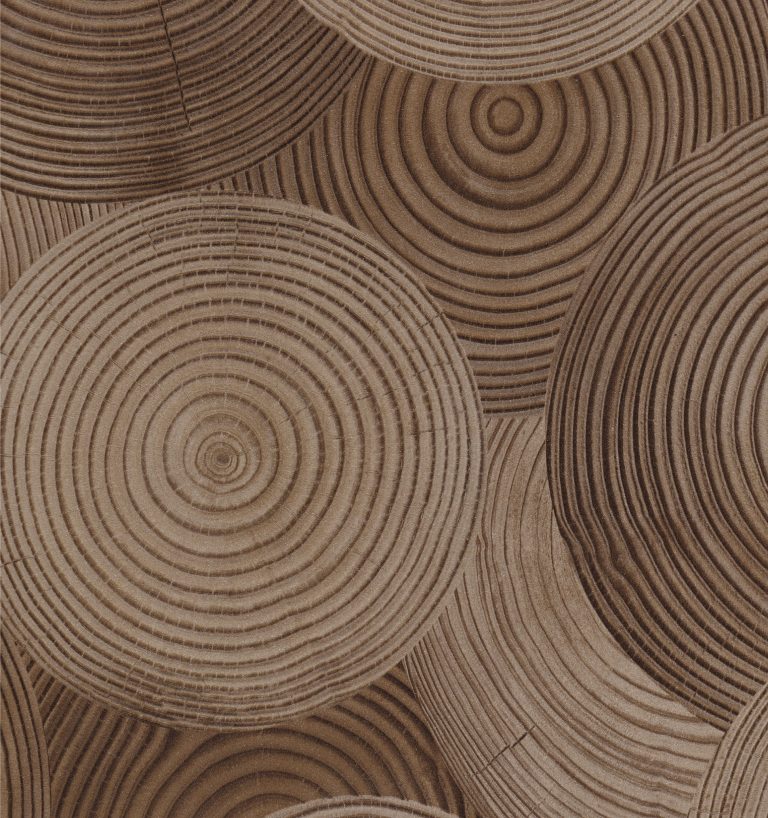 Timber Rings - formite.com.pk
