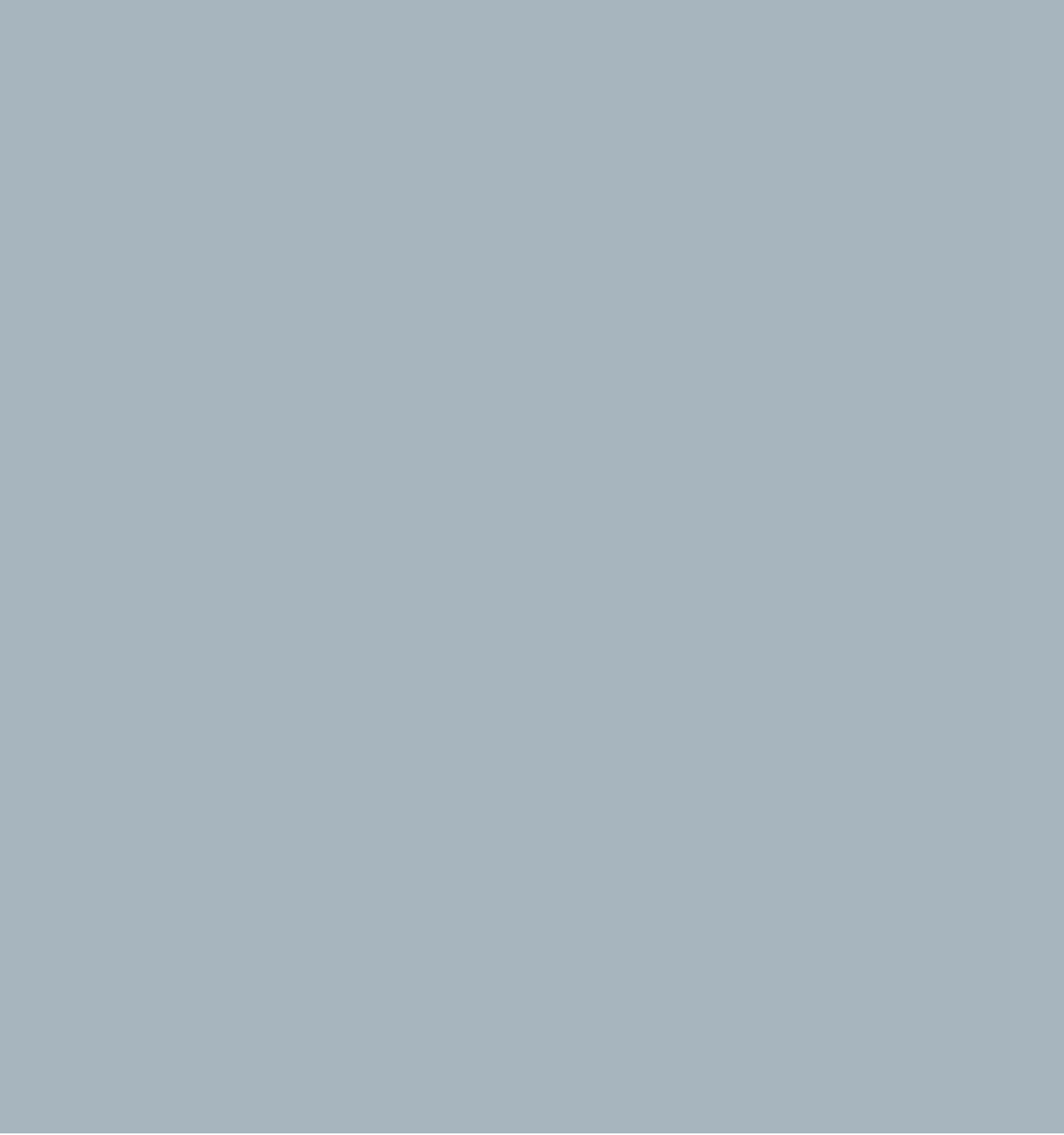 Platinum Grey - formite.com.pk